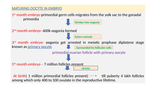 Ovarian cycle : Follicular phase.pptx