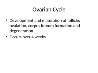 Ovarian_Cycle_Presentation-5.pptx powepo | PPTX