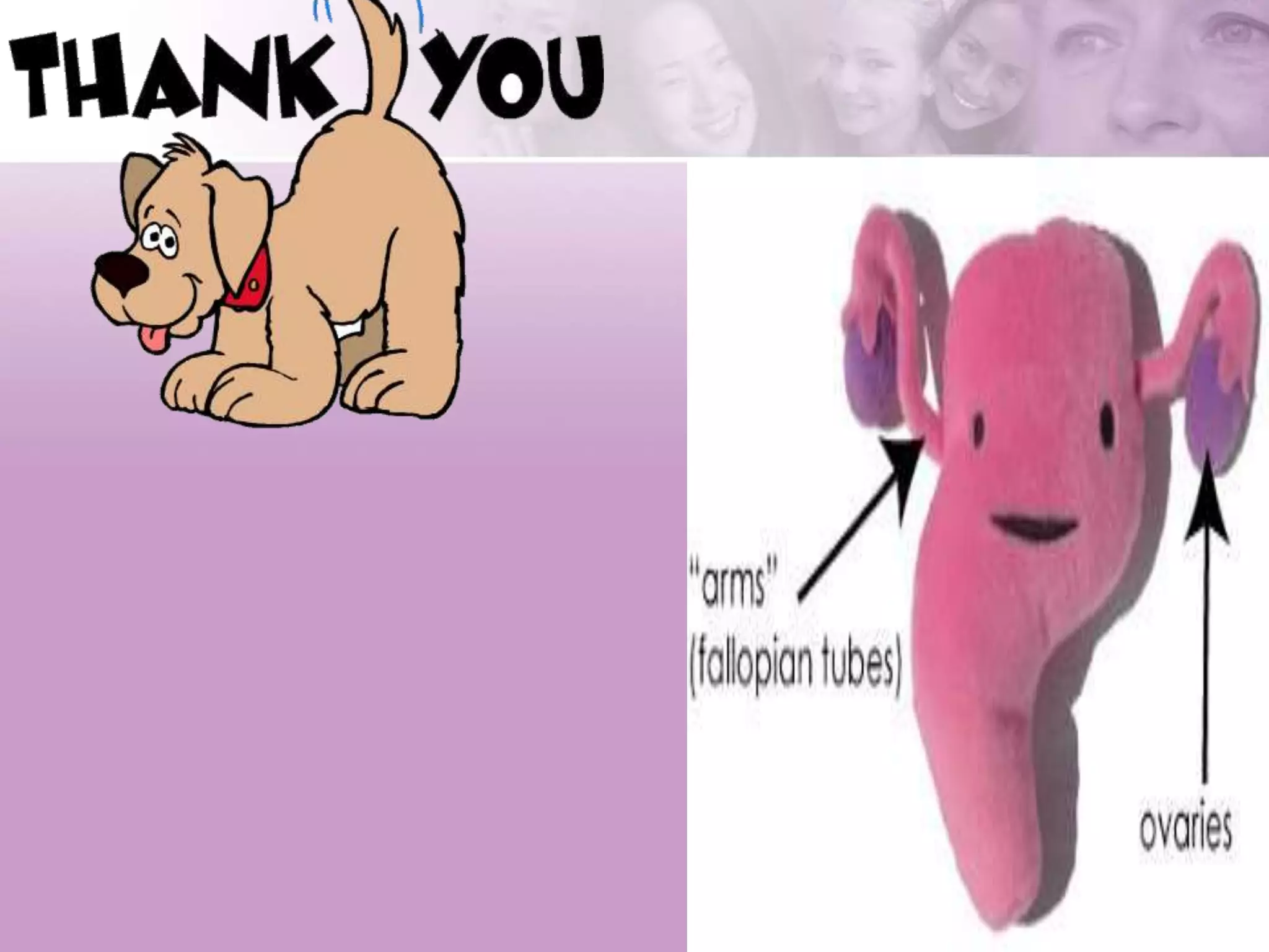 Ovarian cyst(gynec) | PPTX