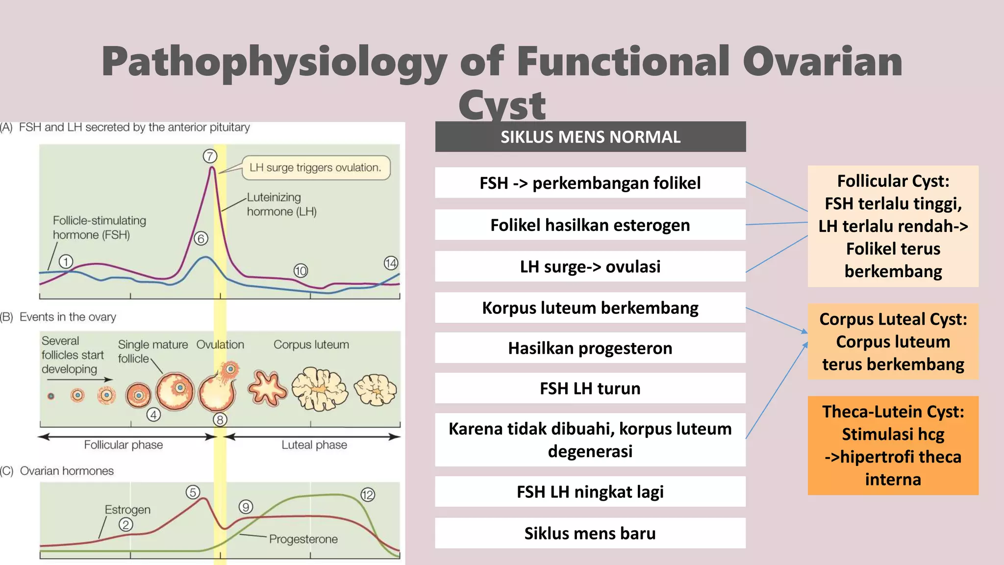 Ovarian Cyst | PPTX