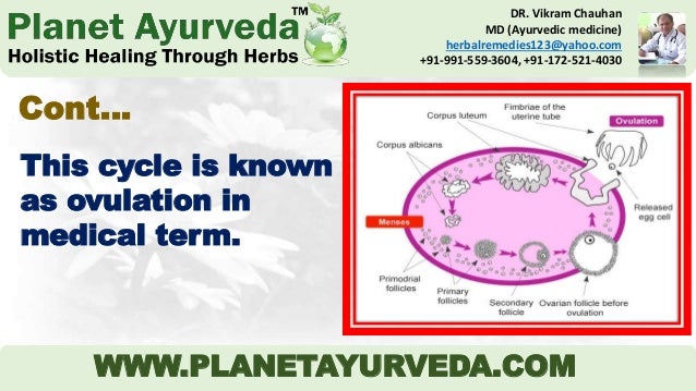 Ovarian Cyst Types Causes Symptoms Ayurvedic Treatment