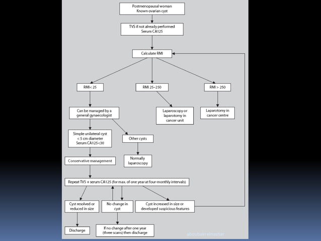 OVARIAN CYSTS IN POSTMENOPAUSAL WOMEN RCOG guidelines, 2003 | PPT