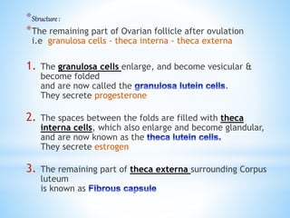 Ovarian Follicles: Histology Overview (2015) | PPTX