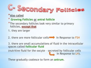 Ovarian follicles; Histology - March 2015 | PPTX | Reproductive Health ...