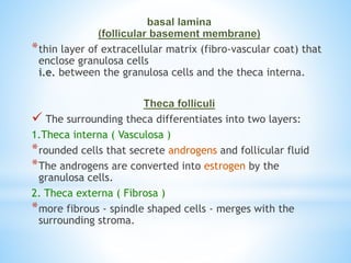 Ovarian follicles; Histology - March 2015 | PPTX | Reproductive Health ...