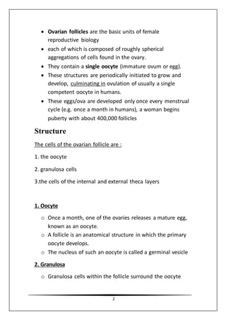 Ovarian follicles; Histology - March 2015 | PDF