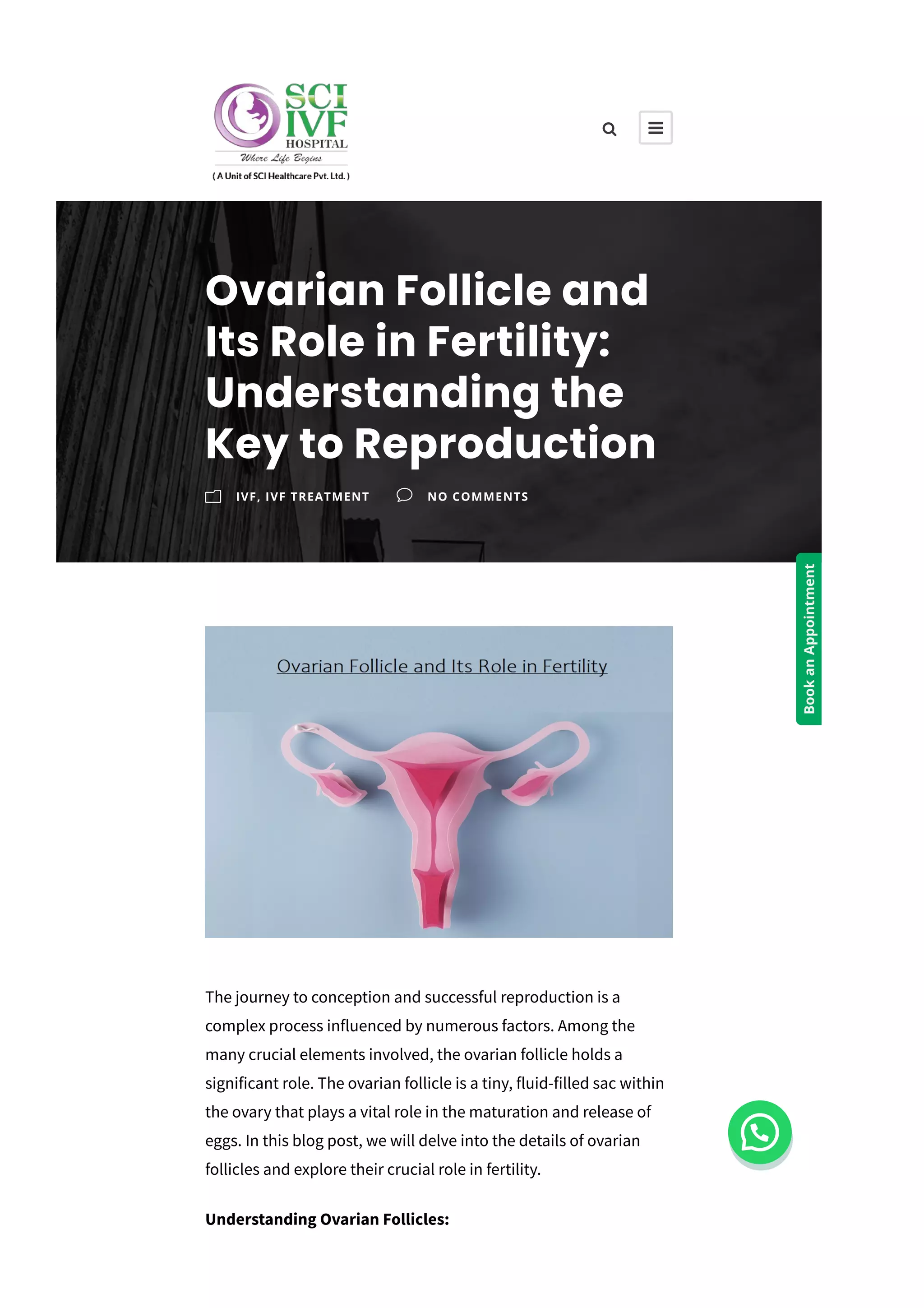 Ovarian Follicle and Its Role in Fertility: Understanding the Key to ...