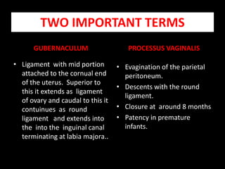 Ovarian hernia inguinale.pptx