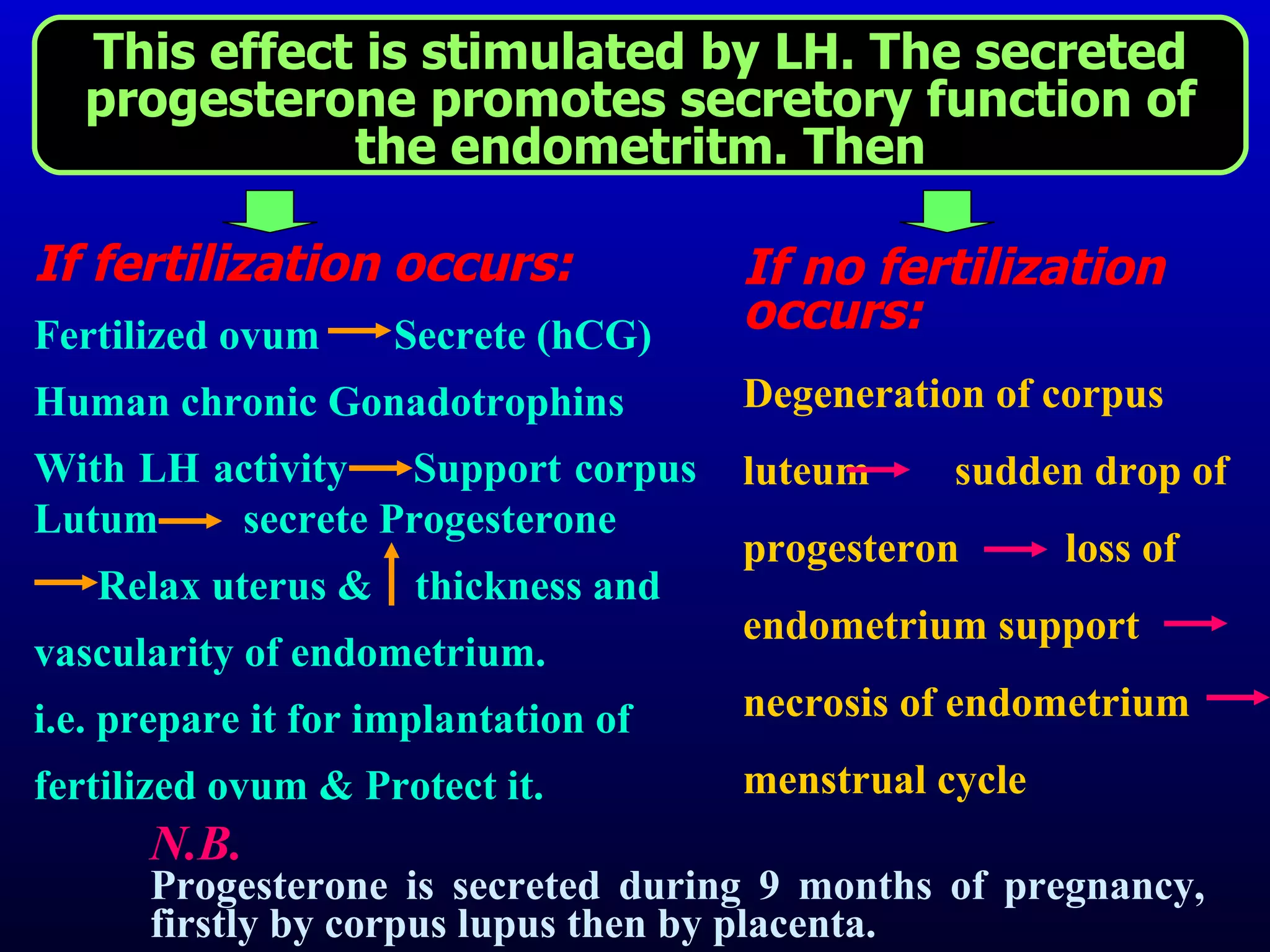 Ovarian hormones | PPT