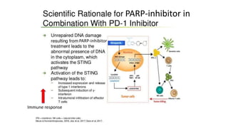PD-L1 Immunotherapy for Ovarian Neoplasms.pptx