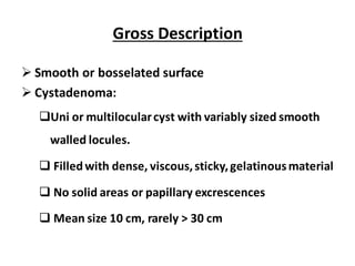 Ovarian tumor MBBS pathology lecture.pdf
