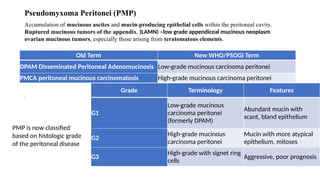 ovarian tumors.pptxdggfdddfffffffffccfffff | PPTX