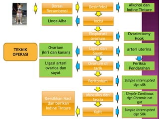 Ovariectomy in dog | PPTX