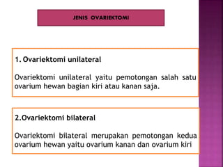 Ovariectomy in dog | PPTX