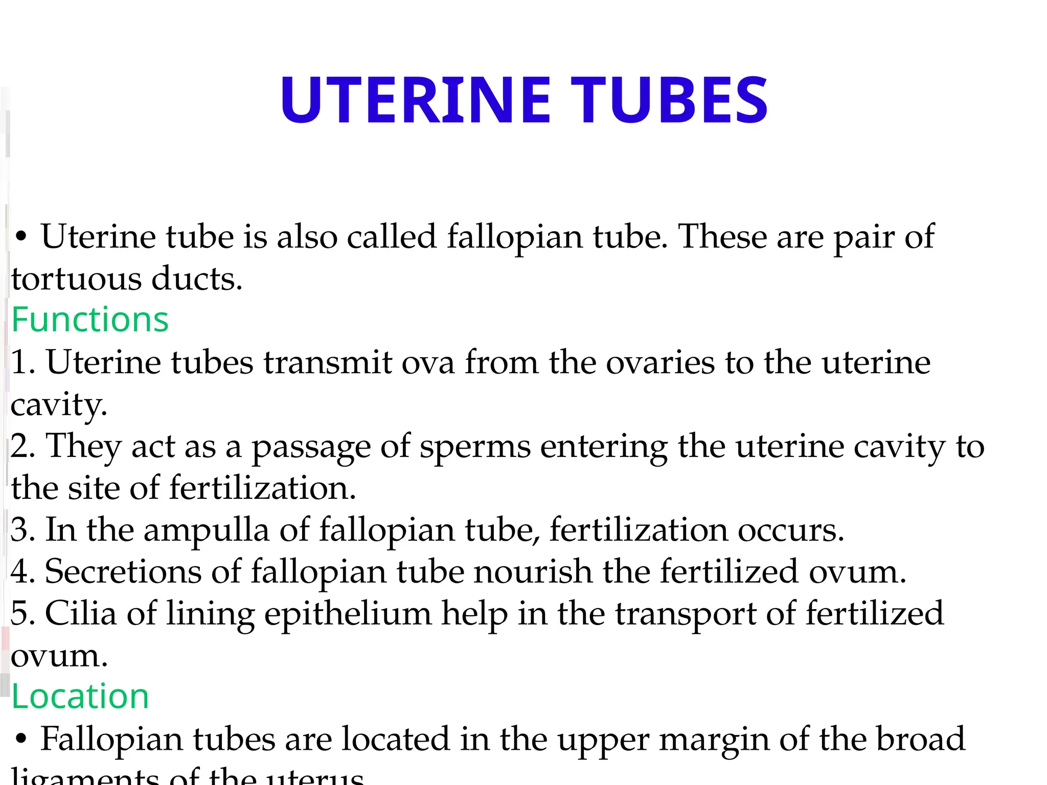 OVARIES and fallopian tube anatomy and ohysiology | PPTX
