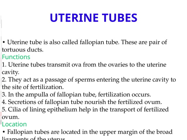 OVARIES and fallopian tube anatomy and ohysiology | PPTX