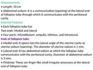 OVARIES and fallopian tube anatomy and ohysiology | PPTX