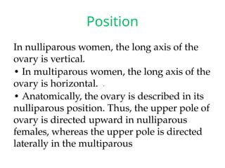 OVARIES and fallopian tube anatomy and ohysiology | PPTX
