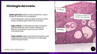 ovario anatomía fisiología presentación clínica .pptx
