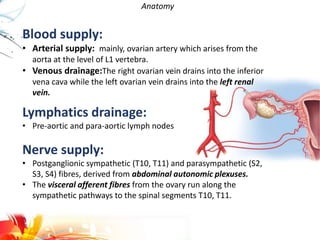 ovary - Anatomy, histology and embryological development of ovary | PPTX