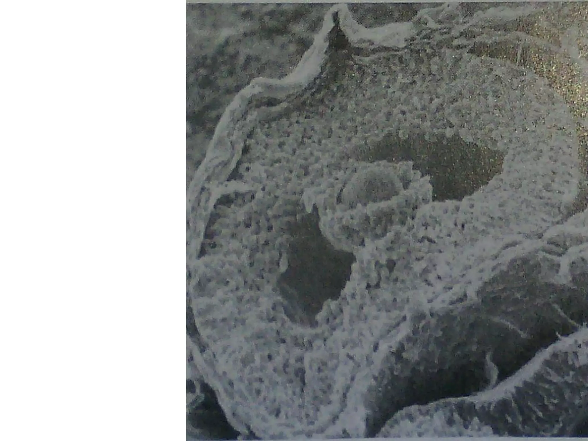 Ovary: Structure and hormonal regulation | PDF