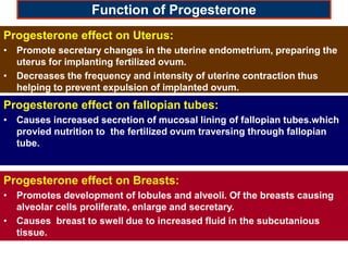Ovary: Structure and hormonal regulation | PDF