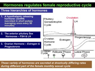 Ovary: Structure and hormonal regulation | PDF