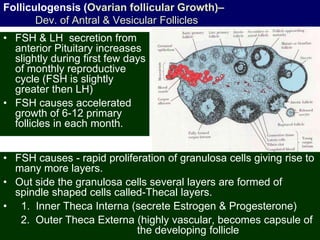 Ovary: Structure and hormonal regulation | PDF