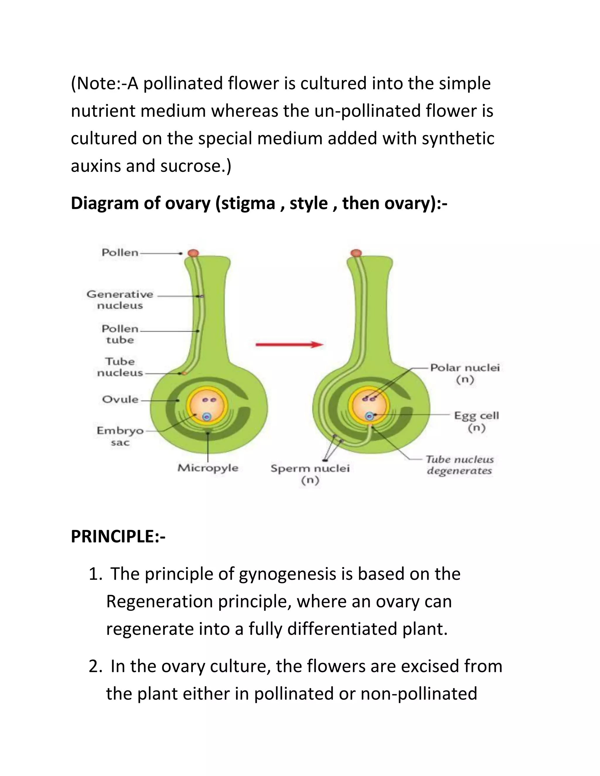 Ovary and ovule culture | PDF