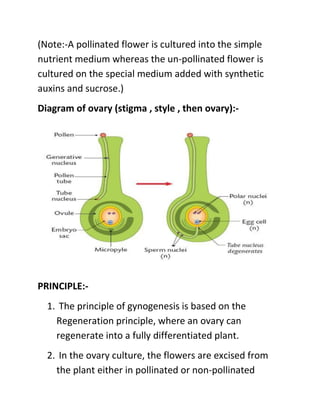 Ovary and ovule culture | PDF