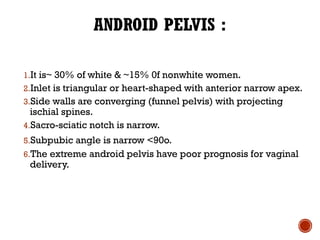 ovary and testesAbout anatomy and histology | PPTX