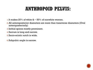 ovary and testesAbout anatomy and histology | PPTX