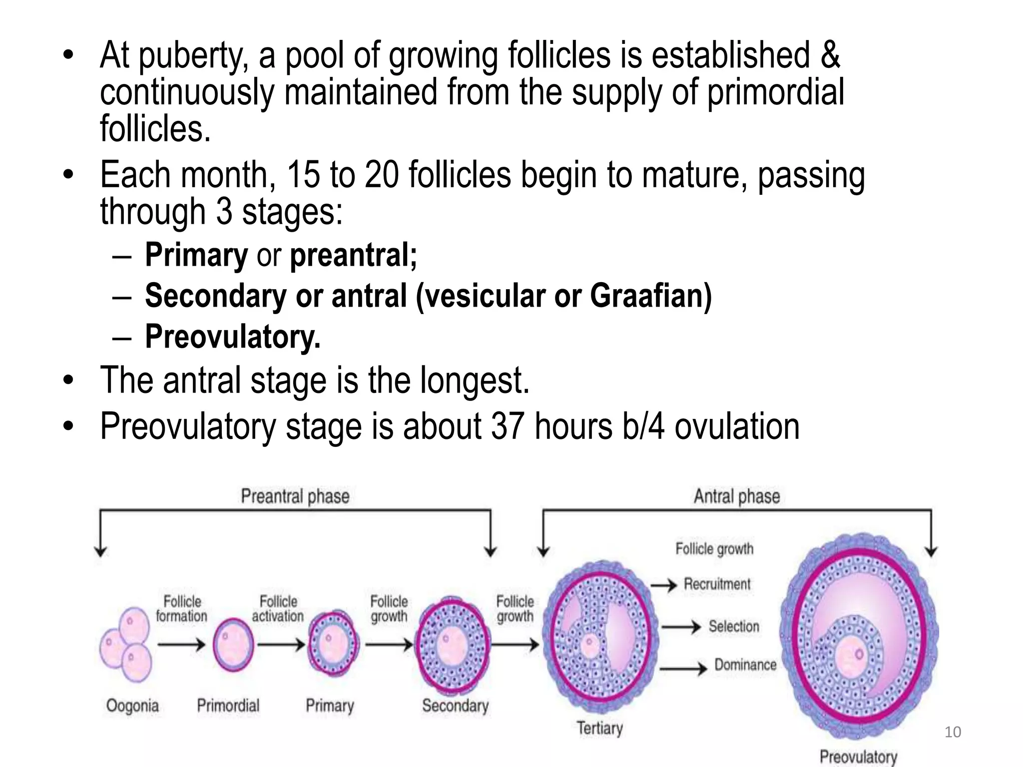Ovary & Oogenesis.pptx