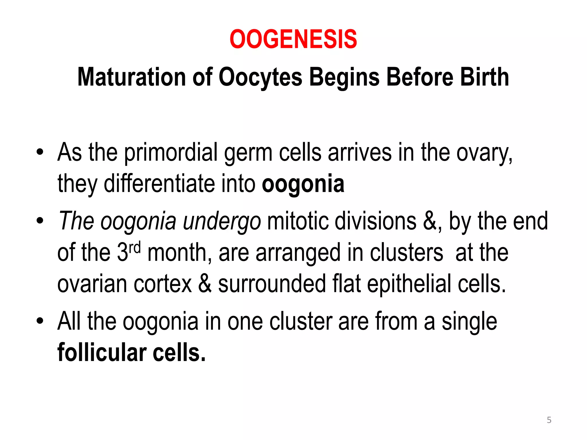 Ovary & Oogenesis.pptx