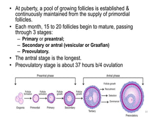 Ovary & Oogenesis.pptx