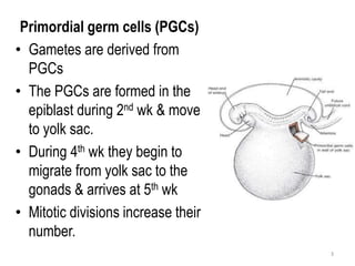 Ovary & Oogenesis.pptx