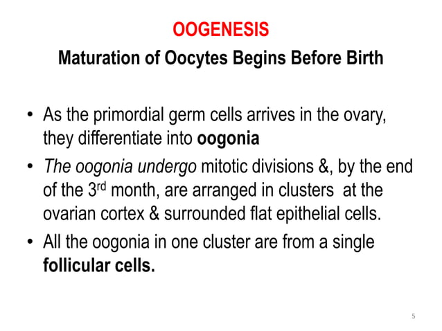 Ovary & Oogenesis.pptx
