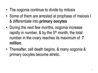 Ovary & Oogenesis.pptx