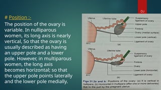 Ovary | PPTX