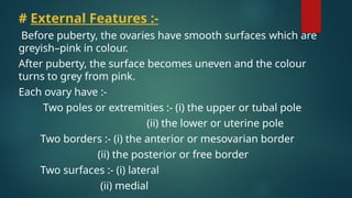 Ovary | PPTX