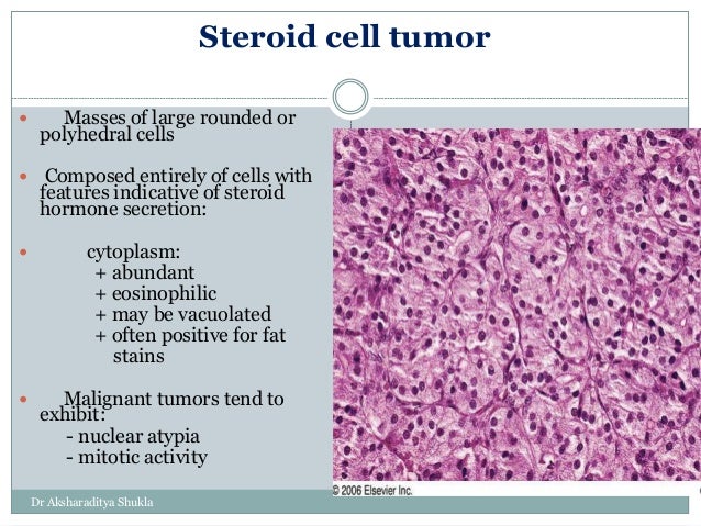 Ovary slide share 3
