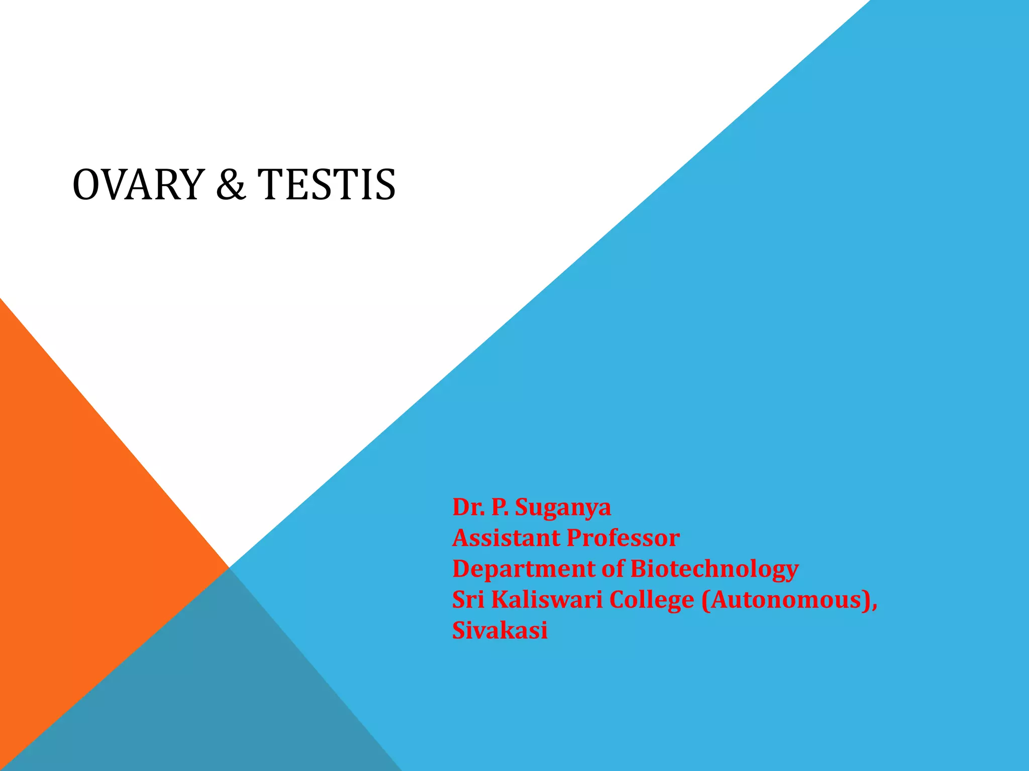 Ovary & testis | PPTX