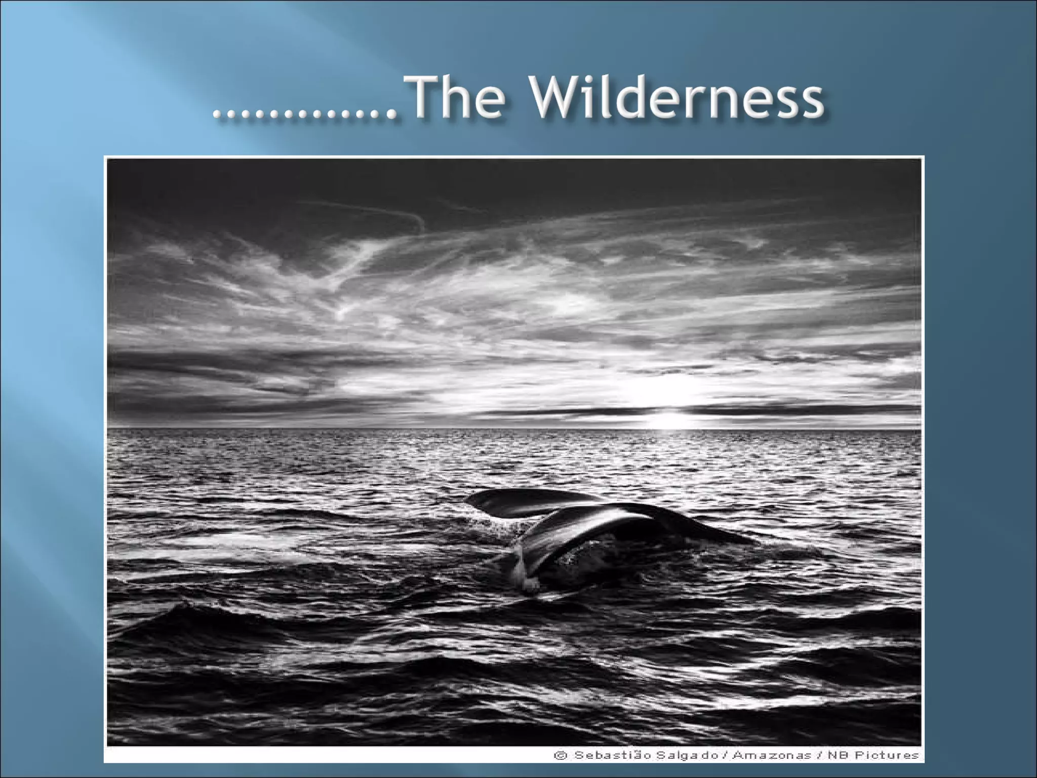 Over exploitation of the ocean’s resources and coastlines | PPT