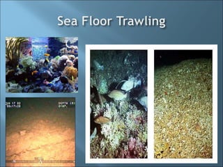 Over exploitation of the ocean’s resources and coastlines | PPT