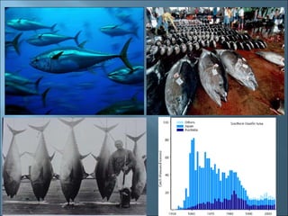 Over exploitation of the ocean’s resources and coastlines | PPT