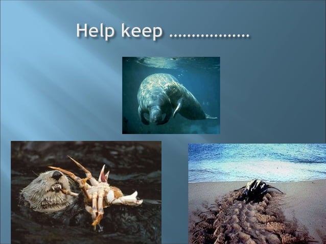 Over exploitation of the ocean’s resources and coastlines | PPT