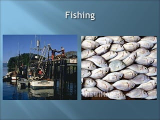 Over exploitation of the ocean’s resources and coastlines | PPT