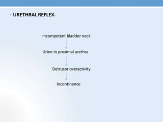 Overactive-Bladder-By-Dr-M-Zahid-Ahmad.pptx