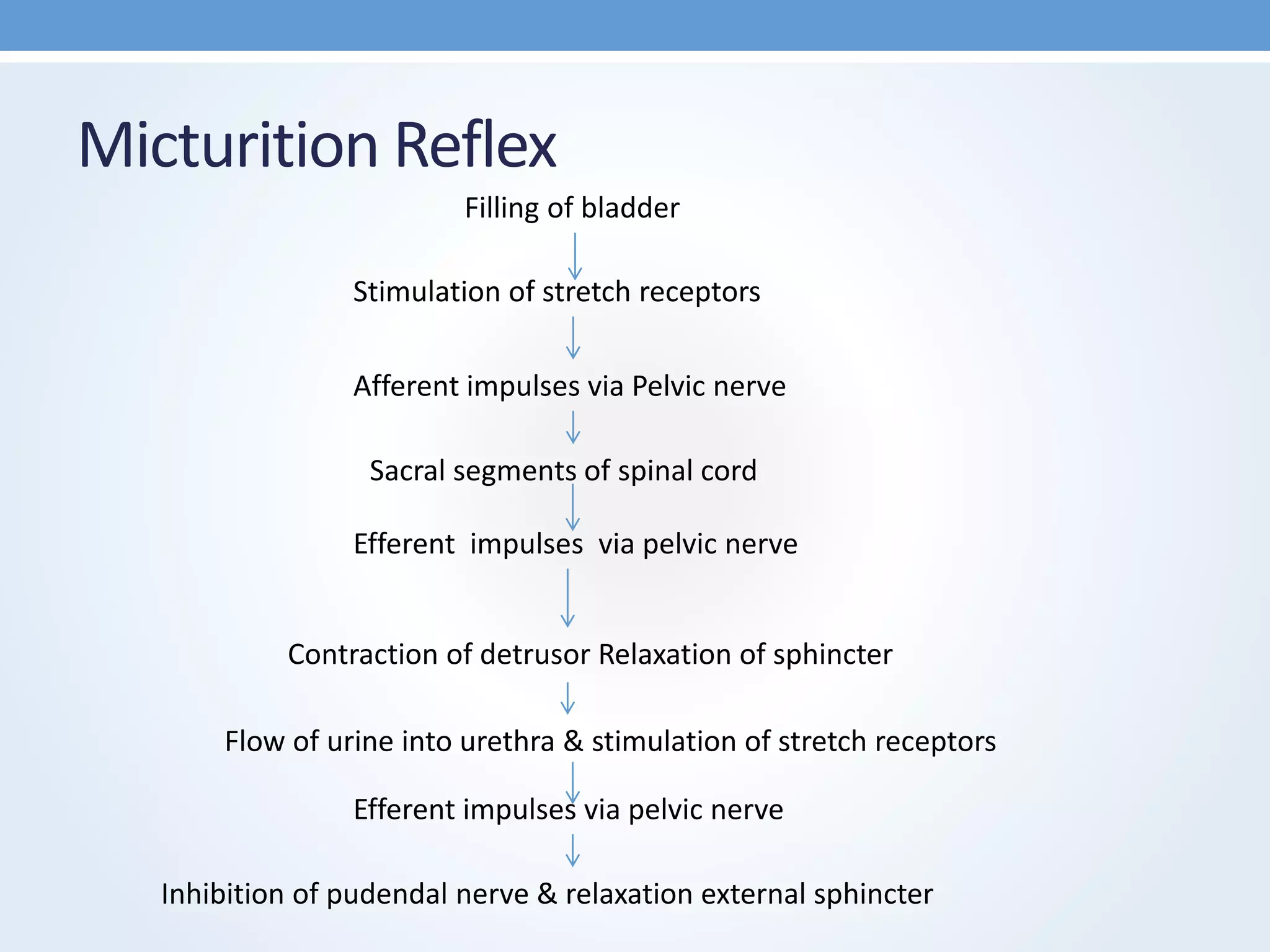Overactive bladder | PPTX