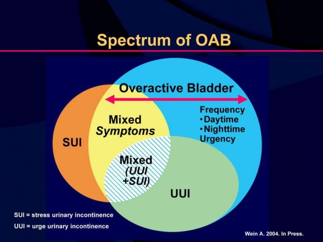 Overactive_Bladder management plane.ppt